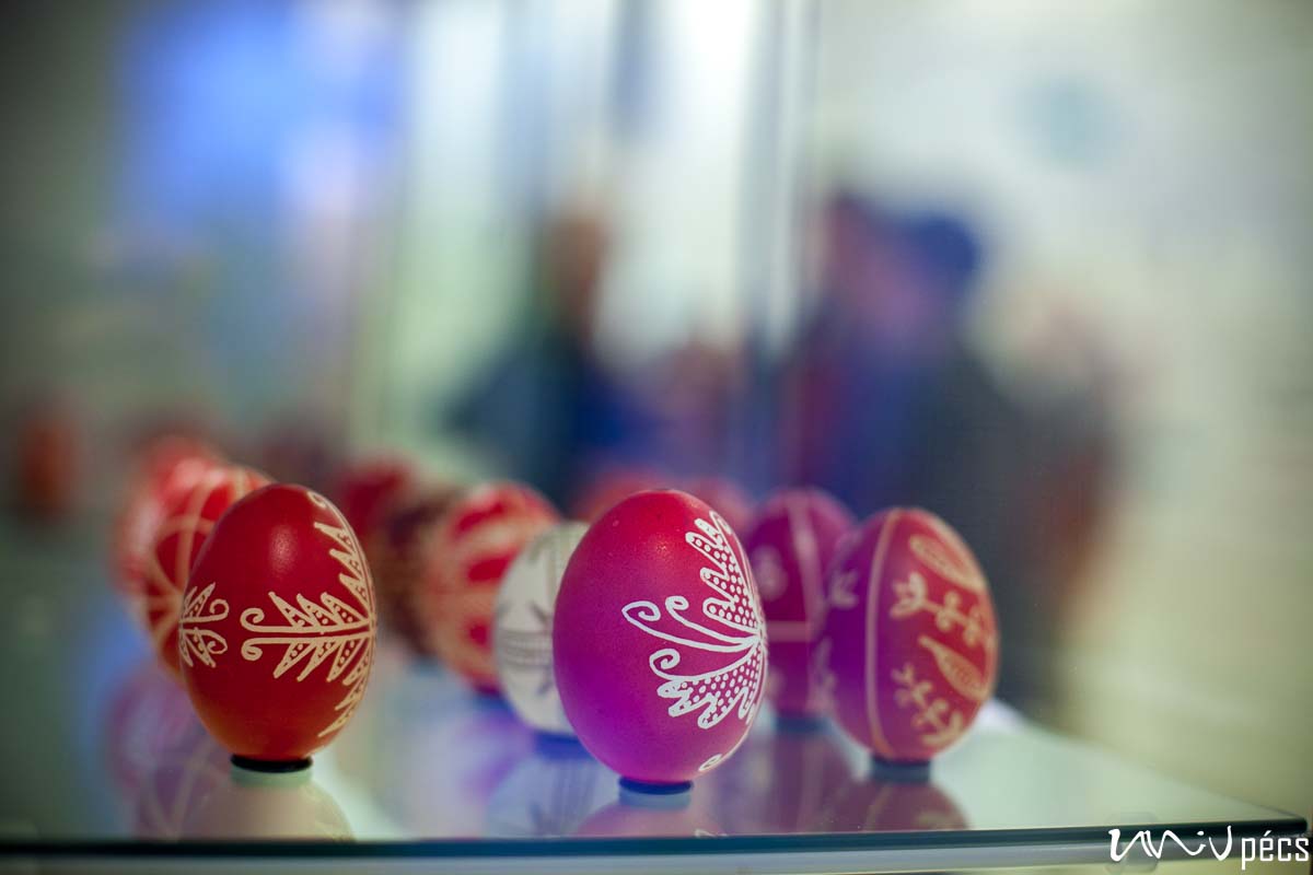 Míves Hímes Tojások - UnivPécs